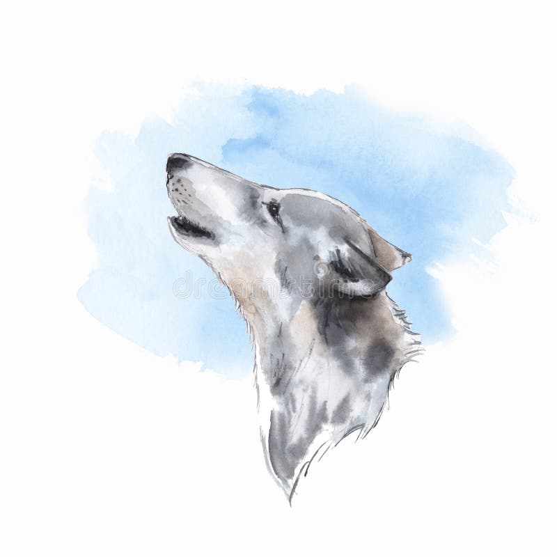 Wolf watercolor painting stock illustration. Illustration of brown ...