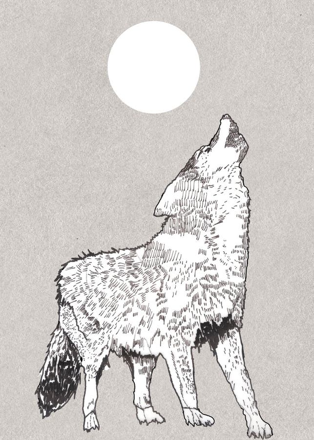 Wolf whistle cartoon stock vector. Illustration of doodle - 32102449