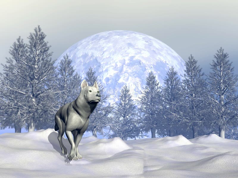 Wolf in winter - 3D render stock illustration. Illustration of animal ...
