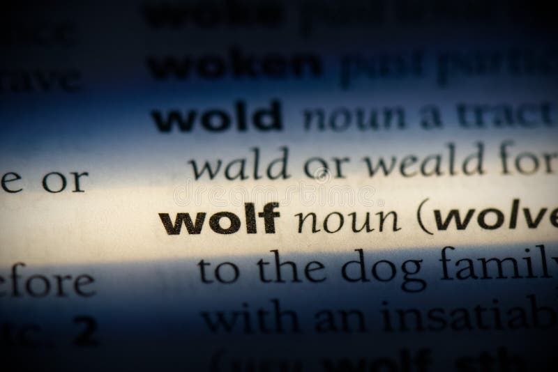 Wolf stock image. Image of close, minimal, idea, education - 161579079