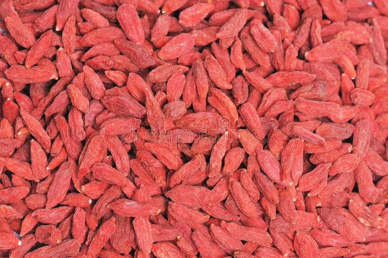 Wolfberry stock photo. Image of berry, antioxidant, lycium - 16393026