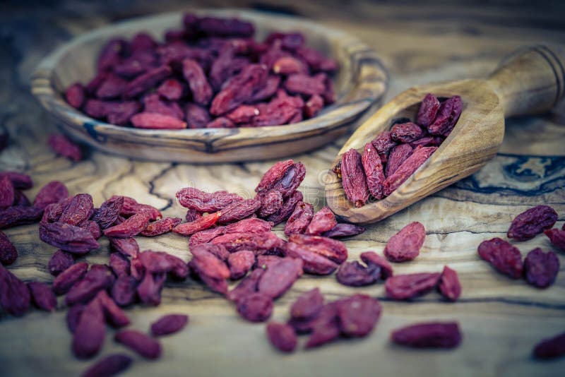 Wolfberry Goji berries stock photo. Image of barberry - 204678636