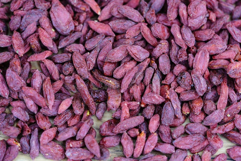 Wolfberry Goji berries stock image. Image of herb, food - 204678667