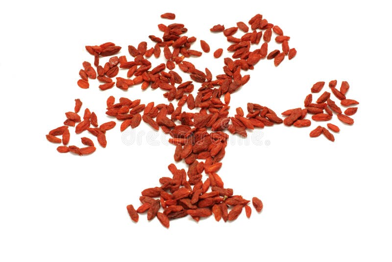 Wolfberry stock image. Image of herb, bunch, color, healthy - 33617837