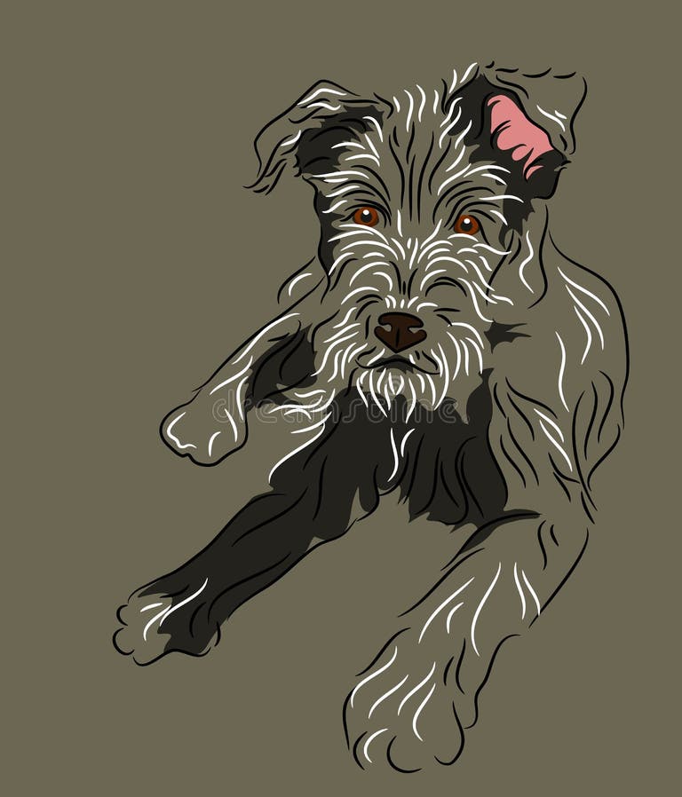 Wolfhound Stock Illustrations – 1,796 Wolfhound Stock Illustrations ...