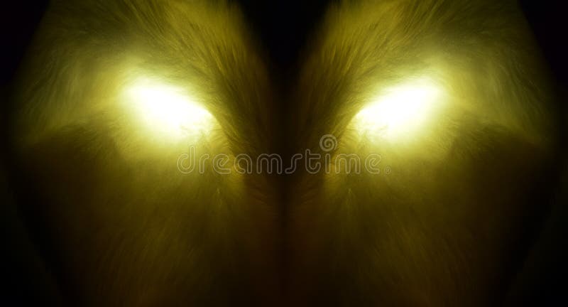 Yellow Glowing Eyes