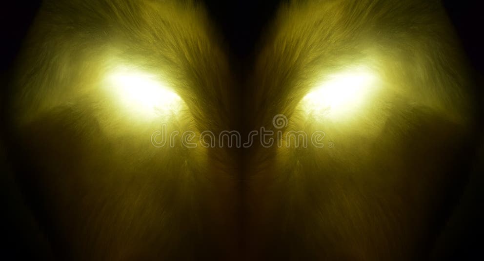 34,425 Beast Eyes Stock Photos - Free & Royalty-Free Stock Photos from ...