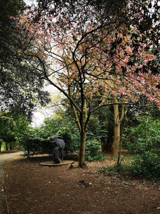 Wollaton Hall Gardens with Wire Sculpture Editorial Stock Image - Image ...