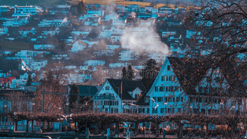 Wollerau Switzerland Townscape in Winter Stock Photo - Image of ...