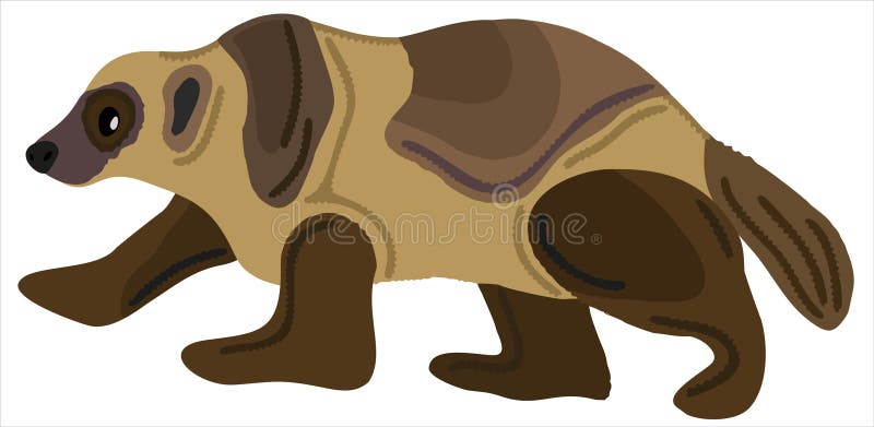 Wolverine Animal. Vector Isolated Illustration Stock Illustration ...