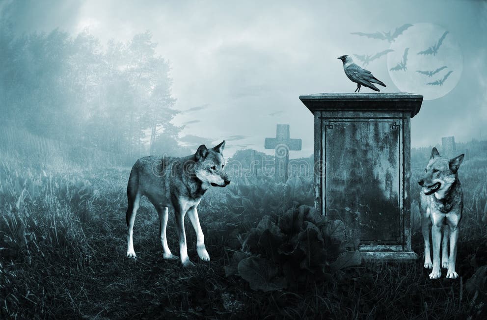 Wolves guarding an old stock image. Image of moon, graveyard - 26997531