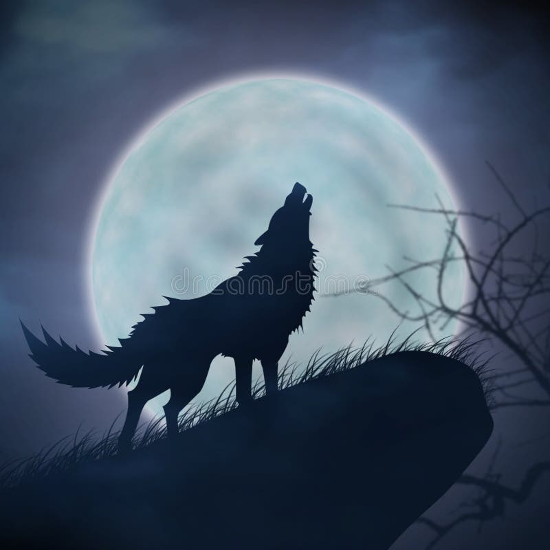 Wolf Howling At Full Moon Hd