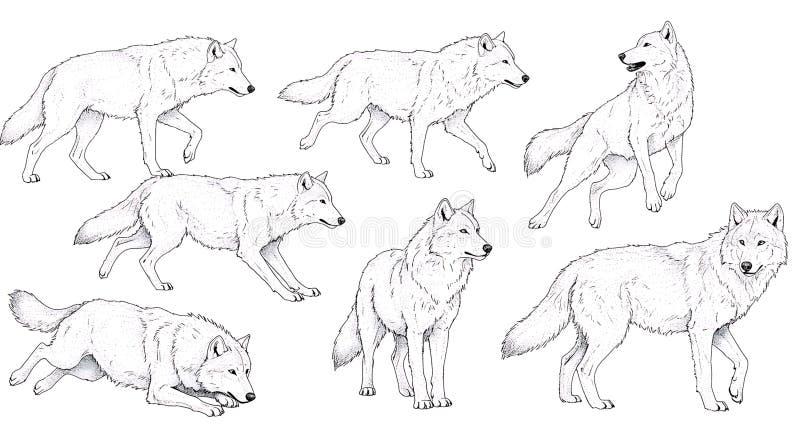 Digital Ink Drawing Stock Illustrations – 52,289 Digital Ink Drawing Stock Illustrations ...