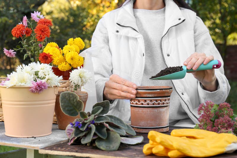Woman Adding Fresh Soil into Pot in Garden, Closeup Stock Photo - Image ...