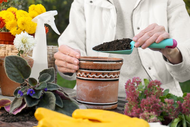 Woman Adding Fresh Soil into Pot in Garden, Closeup Stock Image - Image ...