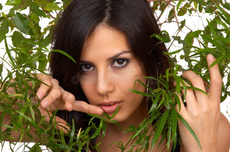 Woman amazon stock image. Image of forest, hand, hunter - 5325253