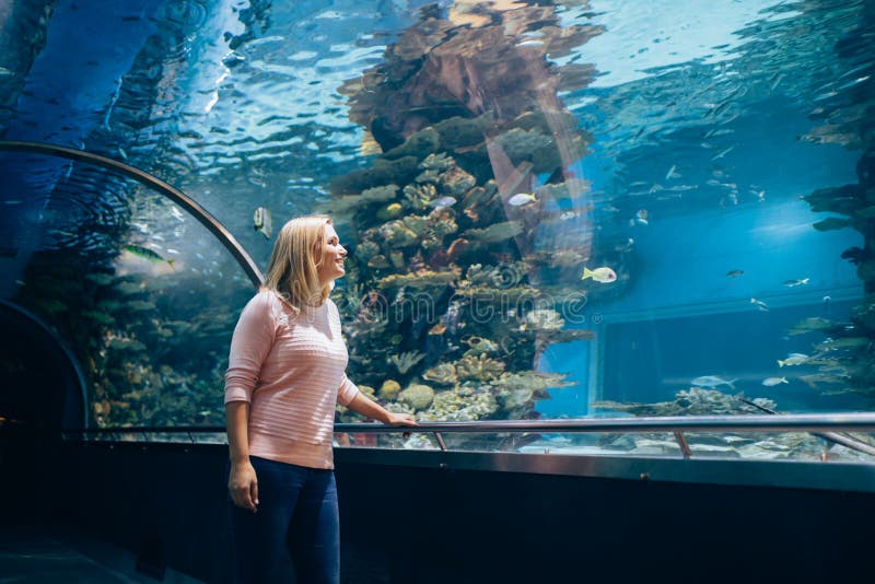 Woman in the Aquarium Watching the Fish Stock Photo - Image of park ...