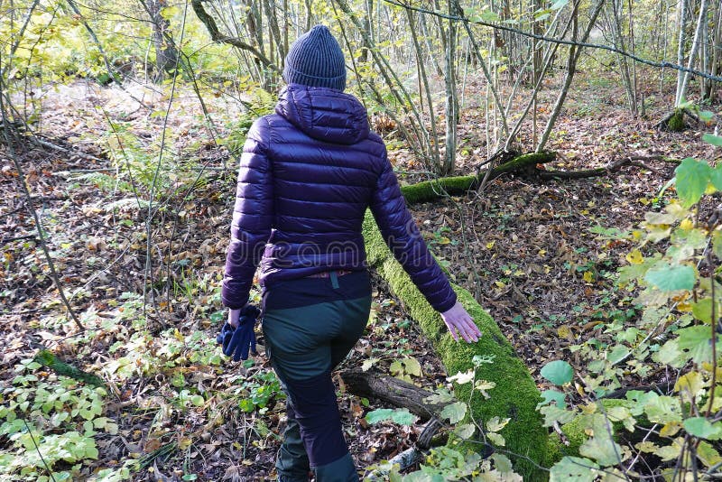 Woman in Autumn Forest Touching a Fallen Moss Covered Tree Stock Image ...