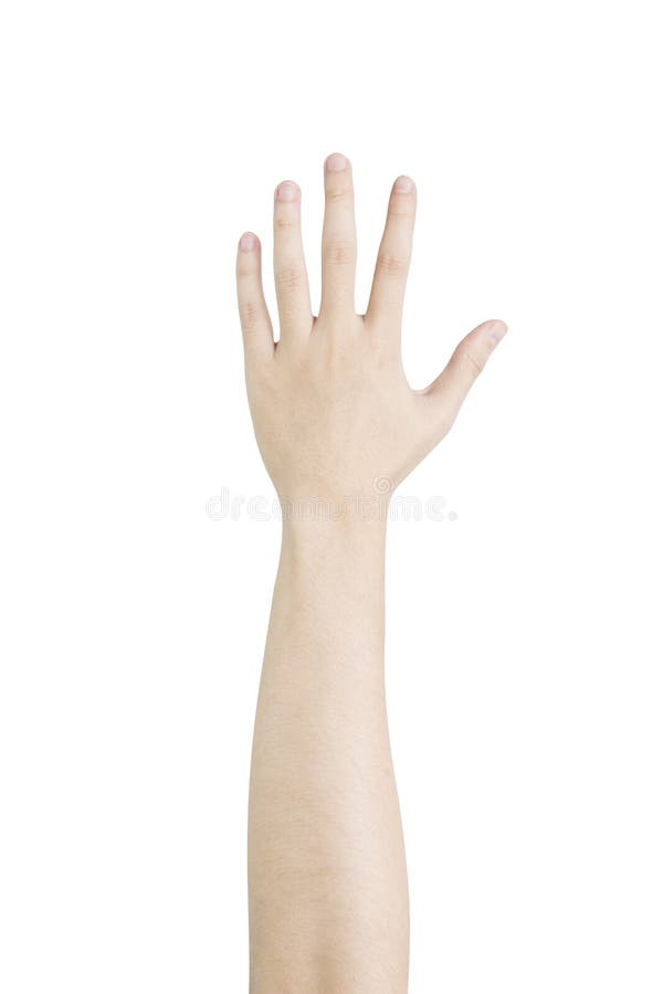 Front and back of the hand stock photo. Image of people - 15219016