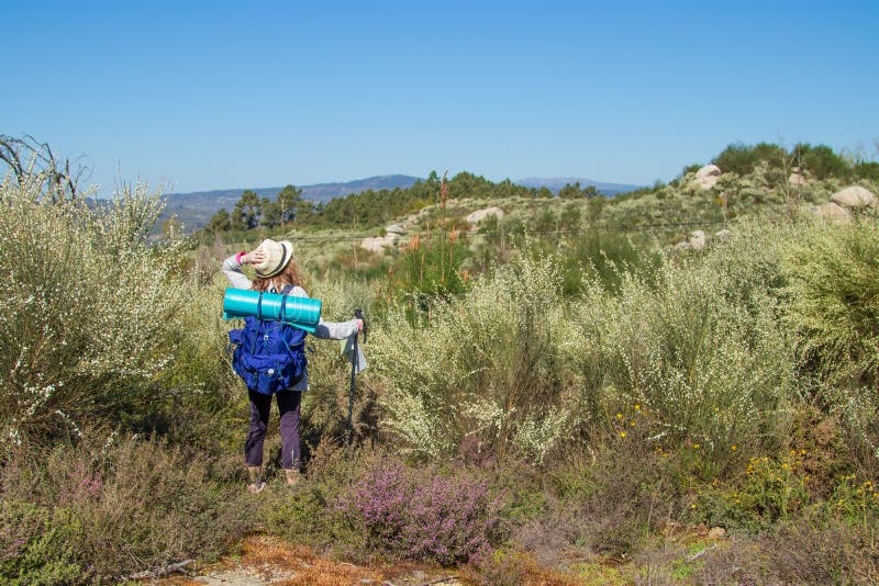 Woman with backpack hiking stock image. Image of green - 215775559
