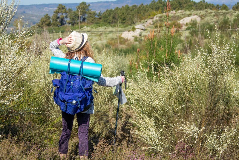 Woman with backpack hiking stock image. Image of landscape - 215775587