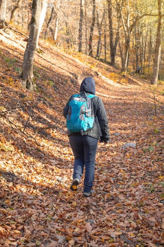 Woman with a Backpack Walk a Forest Path Stock Photo - Image of hiking ...