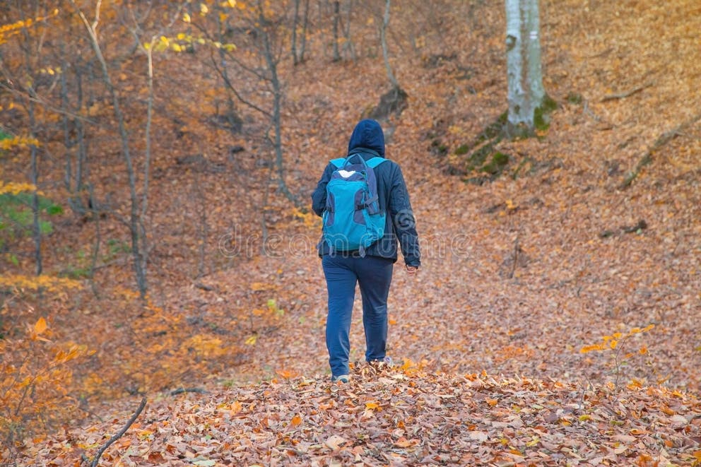 Woman with a Backpack Walk a Forest Path Stock Image - Image of sport ...