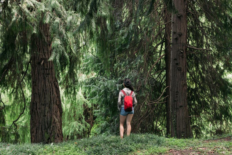 Woman with Backpack Walking in the Forest Stock Photo - Image of ...