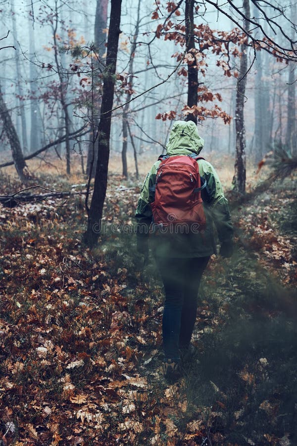 Woman with Backpack Wandering Around a Forest on Autumn Cold Day Stock ...