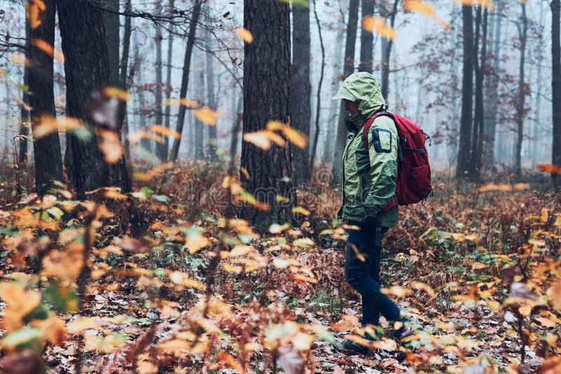 Woman with Backpack Wandering Around a Forest on Autumn Cold Day Stock ...