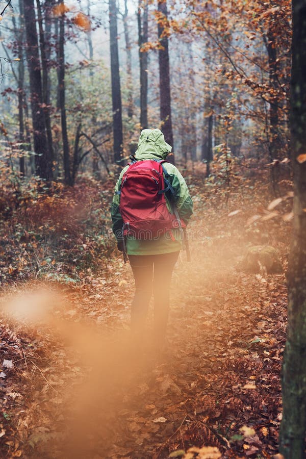 Woman with Backpack Wandering Around a Forest on Autumn Cold Day Stock ...