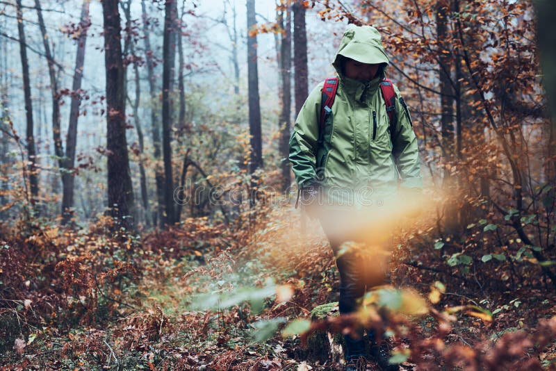 Woman with Backpack Wandering Around a Forest on Autumn Cold Day Stock ...