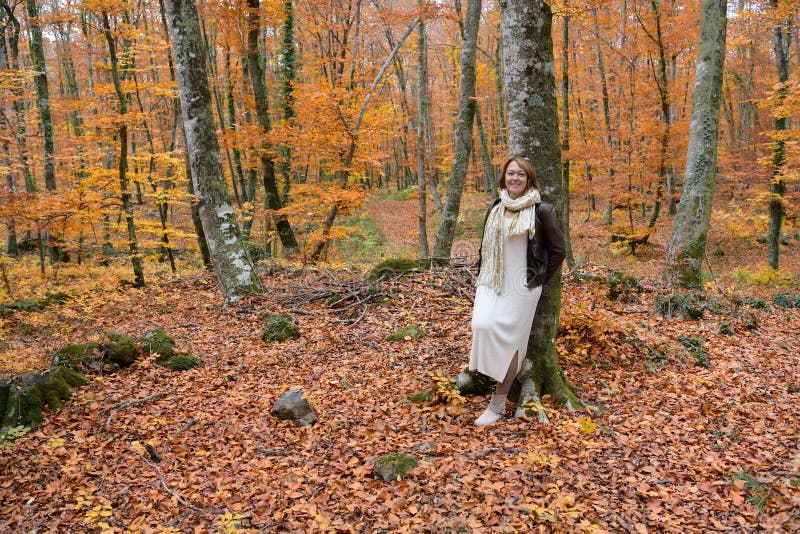 Woman in a Beech Forest in Autumn Leaning on a Tree Trunk Stock Image ...