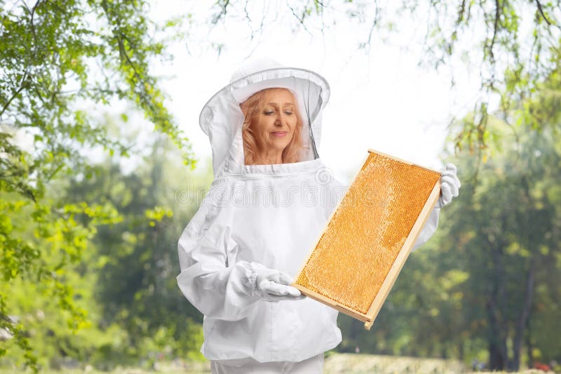 Woman Beekeeper Holding a Beehive Frame Stock Image - Image of apiary ...