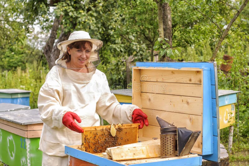 Woman Beekeeper Looks after Bees Stock Image - Image of nature, organic ...