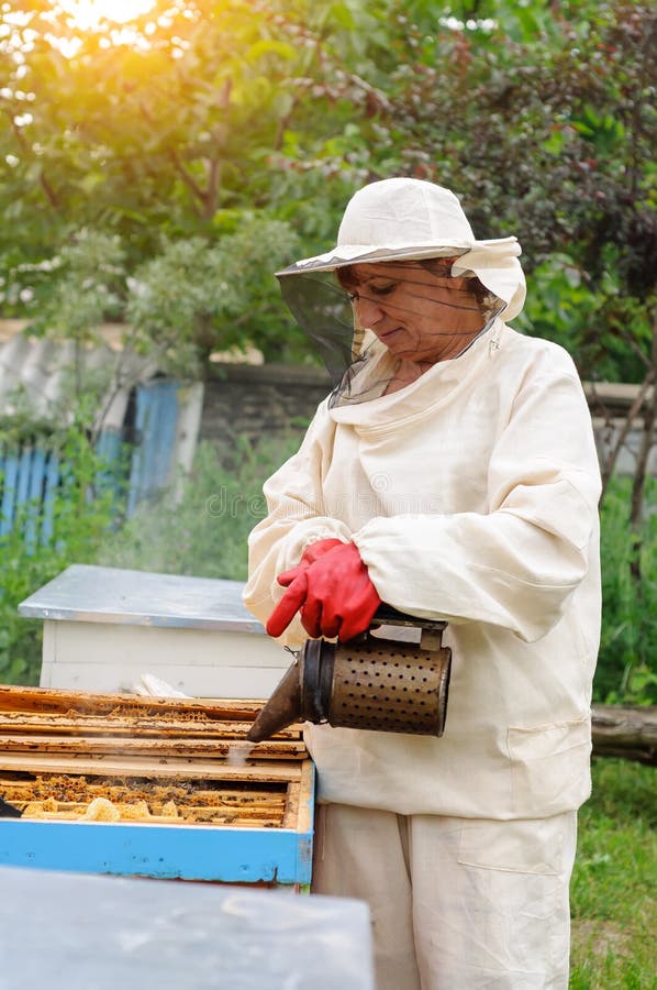 Woman Beekeeper Looks After Bees Stock Image - Image of keeper ...