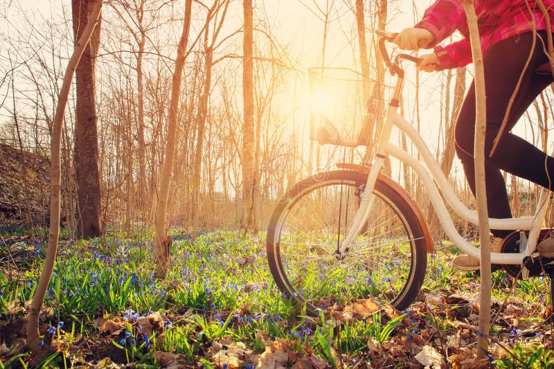 Bicycle in the Forest in Spring Stock Image - Image of outside, biking ...