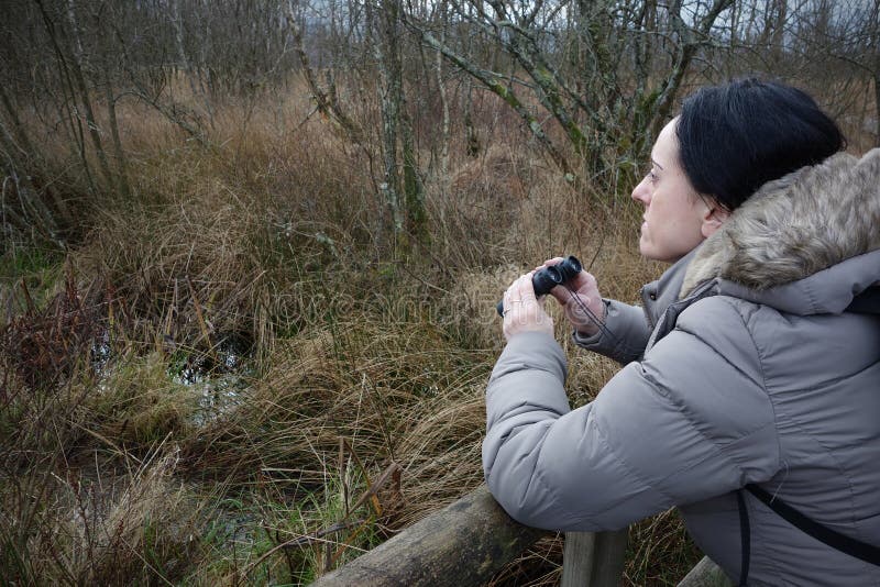 Woman with Binoculars Birdwatching Stock Photo - Image of observing ...