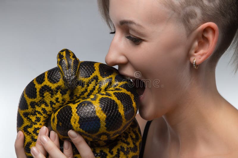 Yellow snake stock image. Image of wild, color, skin - 24149699