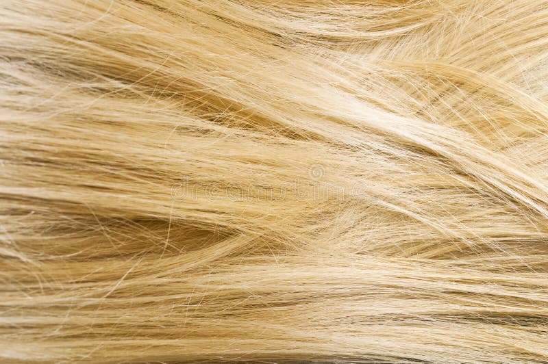 Woman Blonde Hair Texture Stock Image Image Of Hairy 12695837