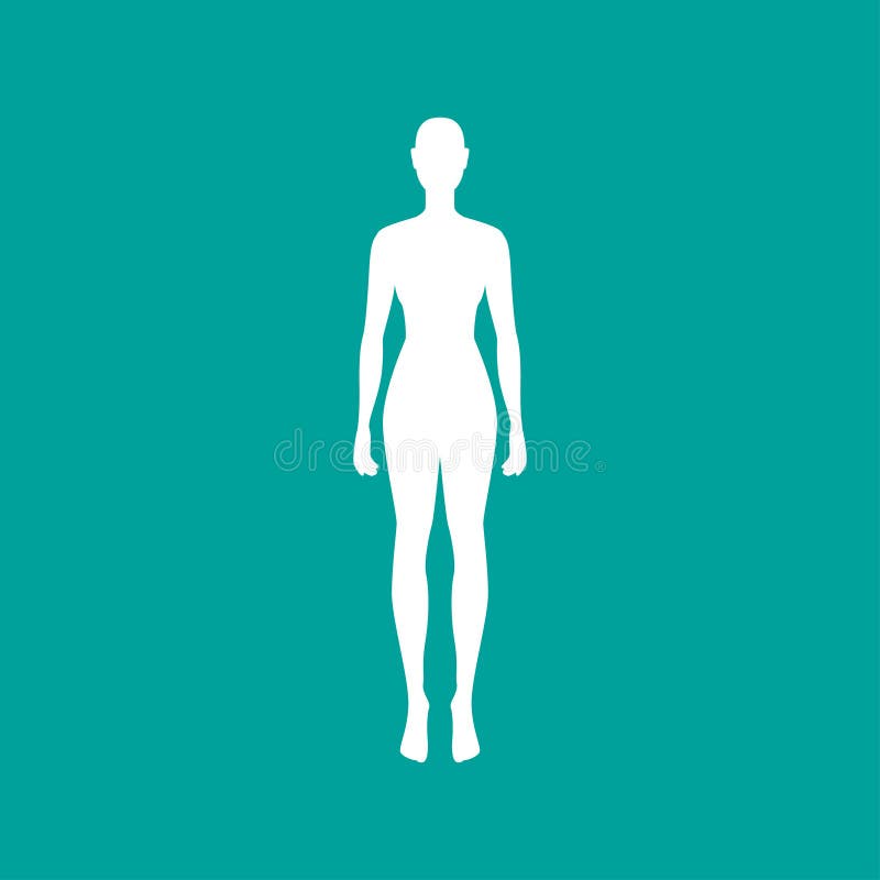 Woman Body Outline in White. Vector Illustration Stock Vector ...