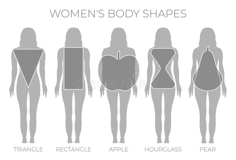 Hourglass Body Stock Illustrations 1291 Hourglass Body Stock Illustrations Vectors And Clipart