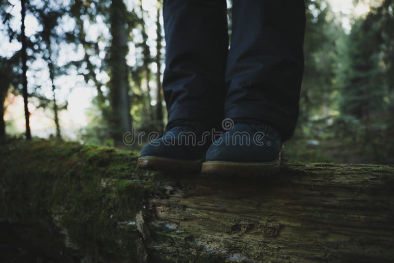 Woman in Boots Standing on Log in Forest Stock Photo - Image of feet ...