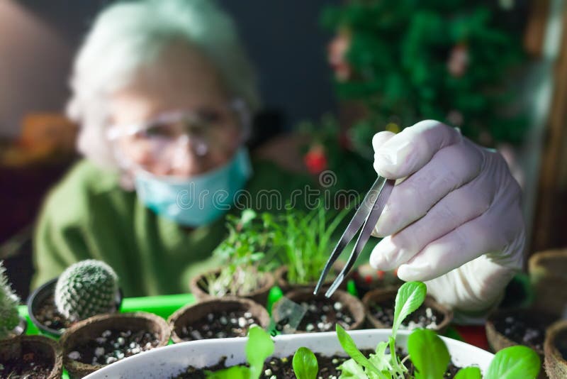 Woman Botanist with Backpack on Ecological Hiking Trail in Summer ...