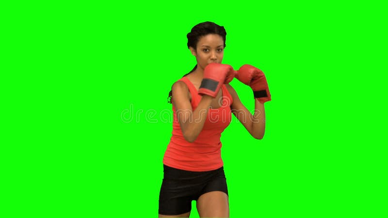 Woman Boxing on Green Screen Stock Video - Video of mixedrace, gloves ...