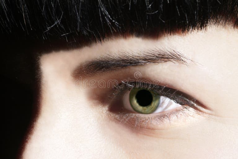 Woman with bra stock photo. Image of clap, instant, open - 4298398