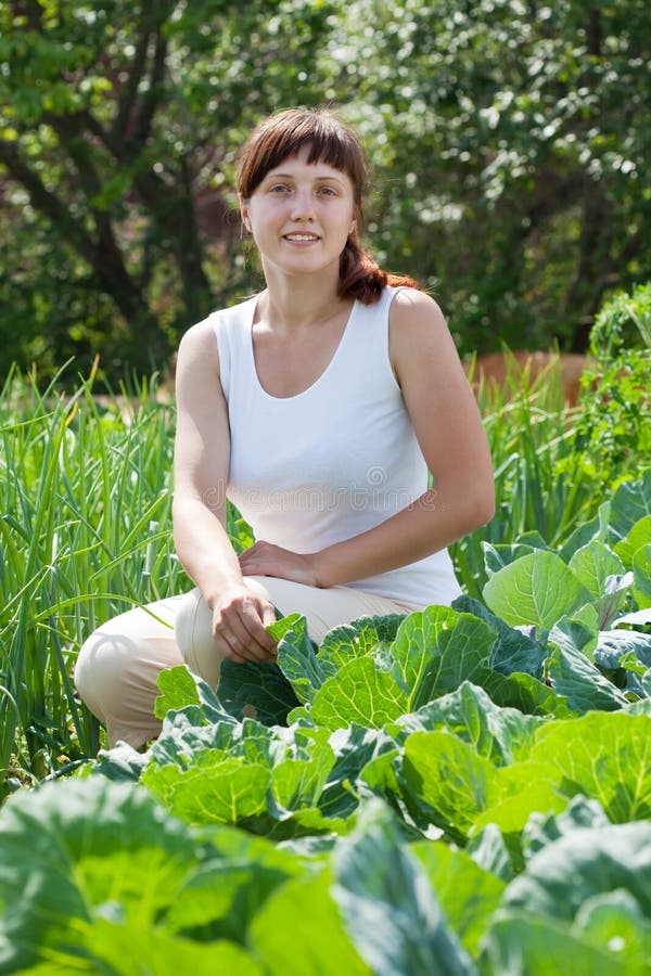 Woman in cabbage plant stock photo. Image of girl, sprout - 23974282