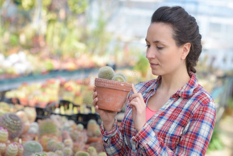 Woman in cactus garden stock image. Image of growth - 115617735