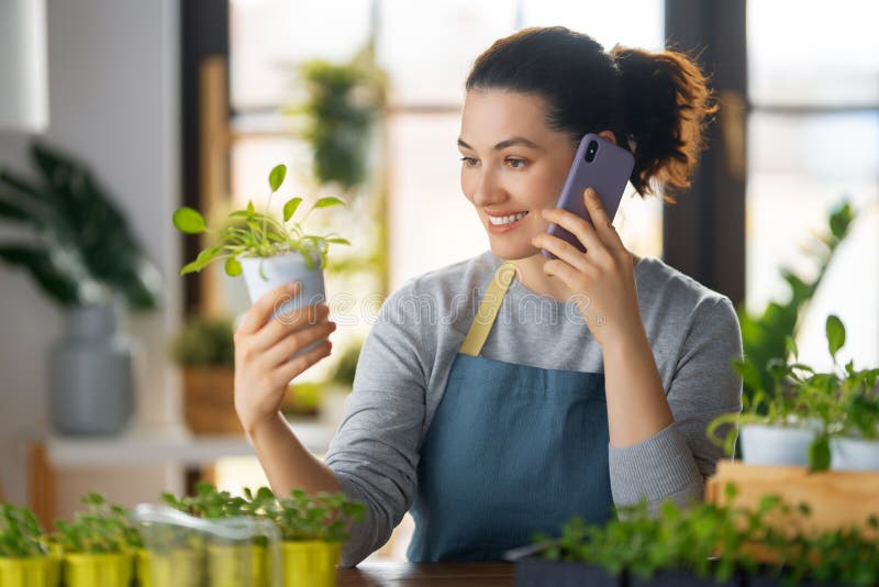 Woman caring for plants stock photo. Image of green - 246906104