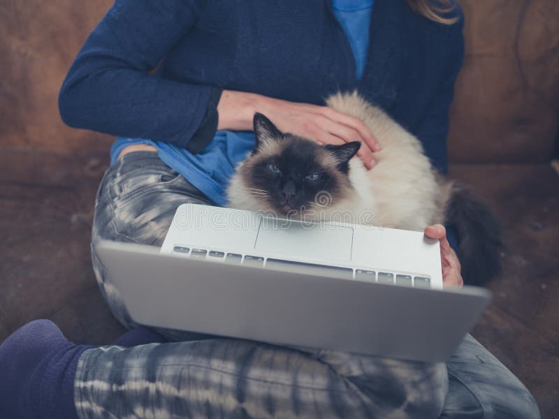 Woman with cat and laptop stock photo. Image of lifestyle - 52422906